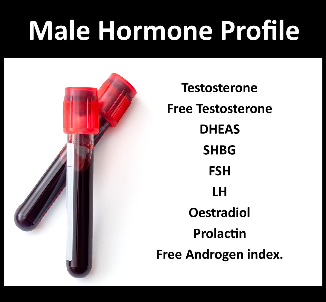 Male Hormone Profile – Blood Metrics