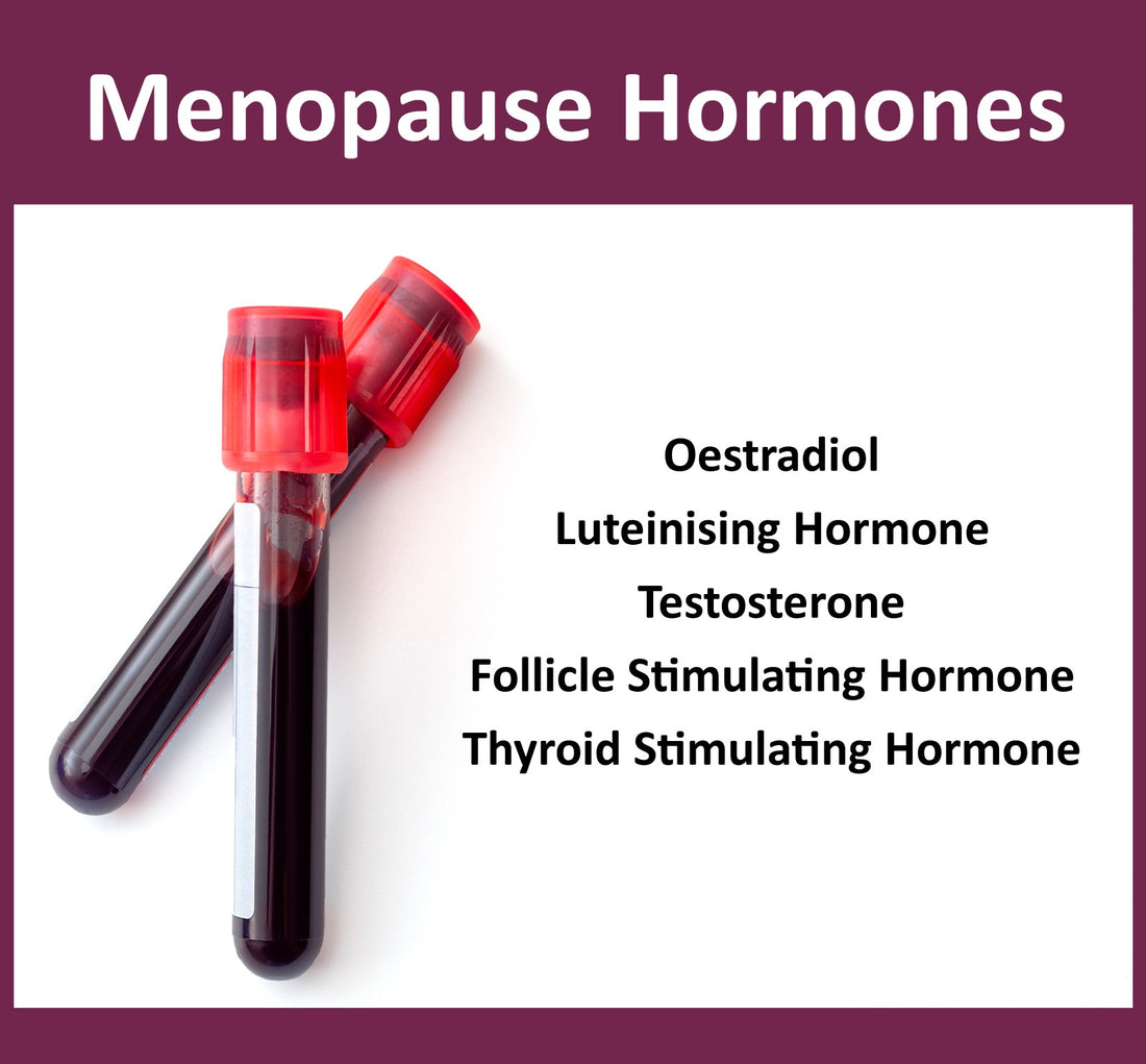 Menopause Hormone Profile – Blood Metrics